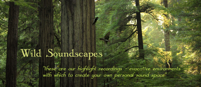 Listening Earth - nature sounds of nature, birdsong, environment ...