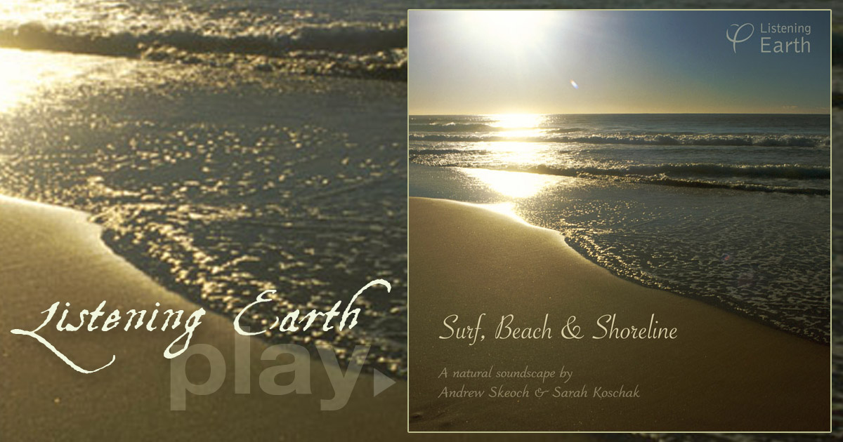 Surf, Beach and Shoreline — Free nature soundscape player